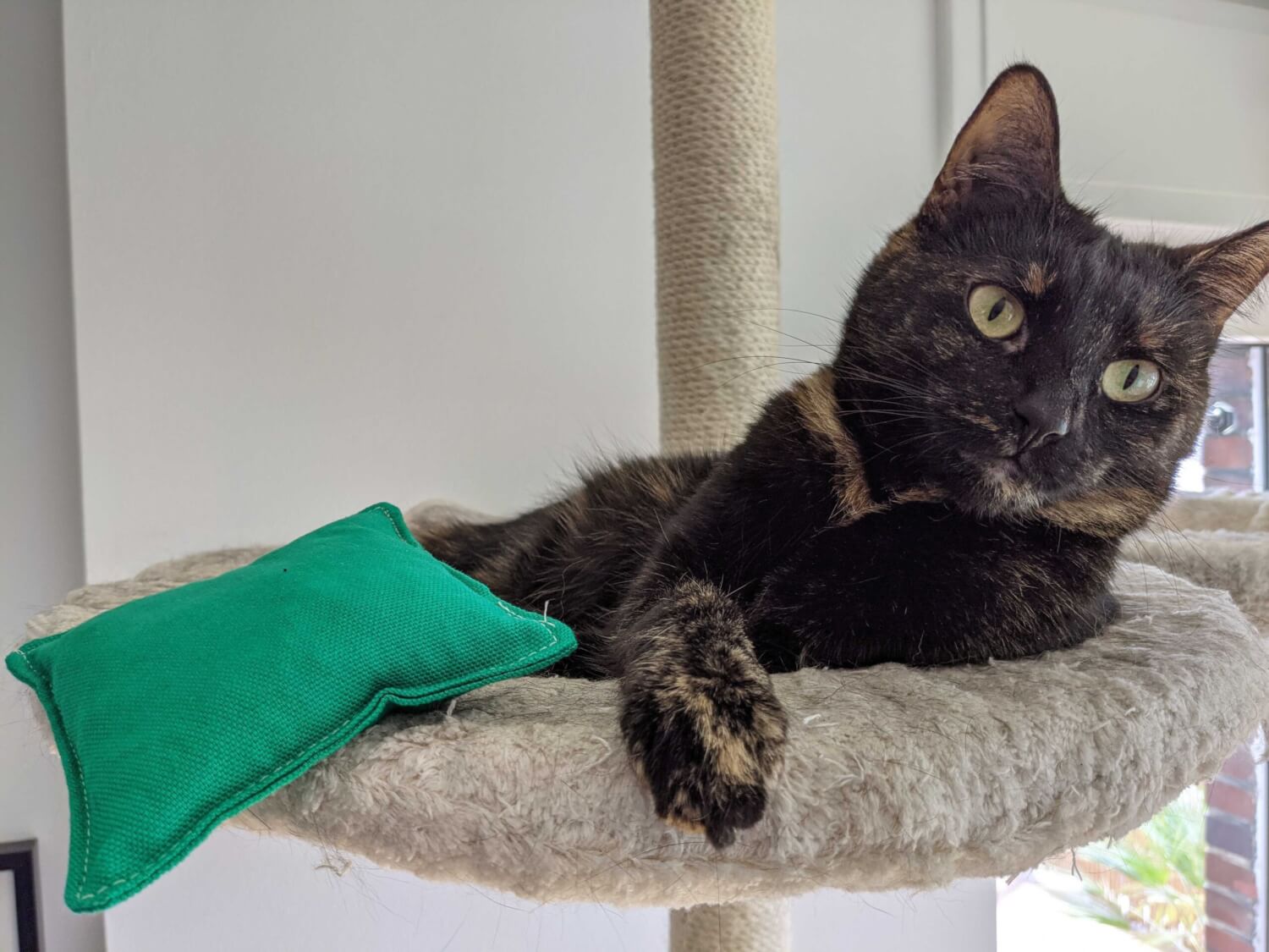 Lustige Cornhole-Fails: Was beim Cornhole alles schieflaufen kann ...